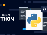 Learn Python Discover Our Courses Sololearn
