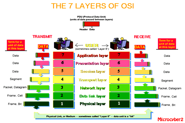 7 Lapisan OSI Beserta Penjelasannya – Whoami.NET