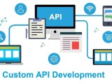 Importance Of Custom Api Development In Modern Software Development