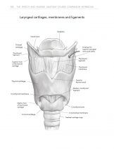 The Speech and Hearing Anatomy Course Companion Workbook