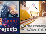 Dynamic Optimization Projects