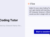 Java Coding Tutor Flint