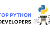 Top Python Developers 2024