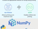 How To Print A Numpy Array Without Truncation In Python