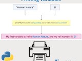 How To Print Single And Multiple Variables In Python