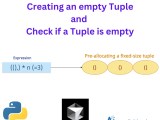 How To Create And Check An Empty Tuple In Python