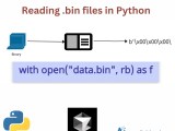 How To A Read Binary File In Python