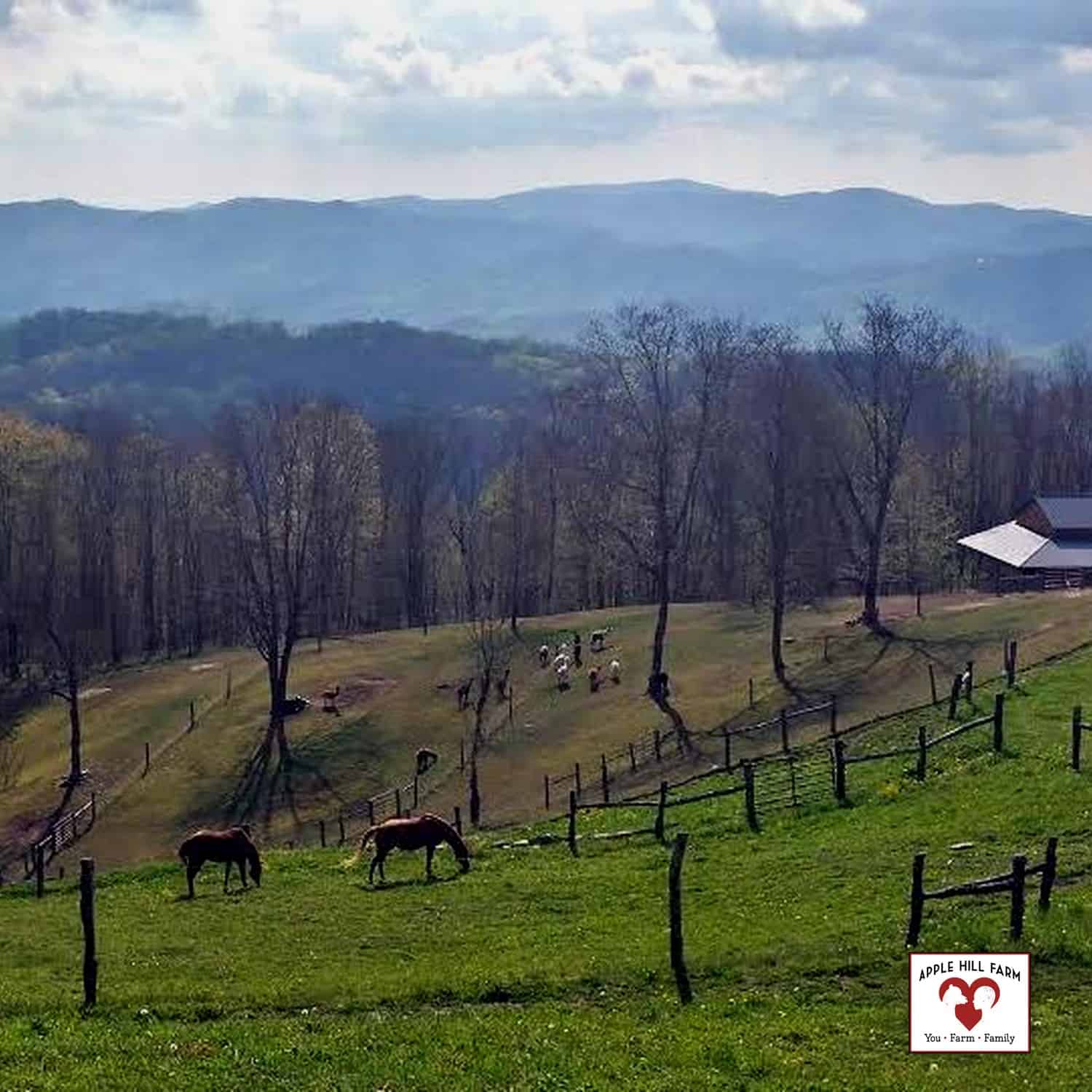 Press Kit - Apple Hill Farm NC