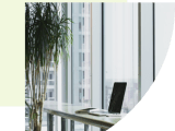 Our Company Applify