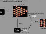 Shrinking Llm Giants With Knowledge Distillation Applydata