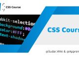 Css Course Apprentice Mn