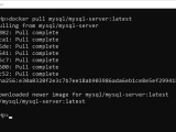 How To Start Mysql In Docker Container Apps Developer Blog