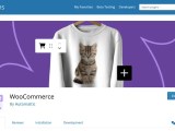7 Best Online Store Builders For Wordpress
