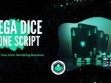 Mega Dice Clone Script Crypto Casino Gaming Solutions