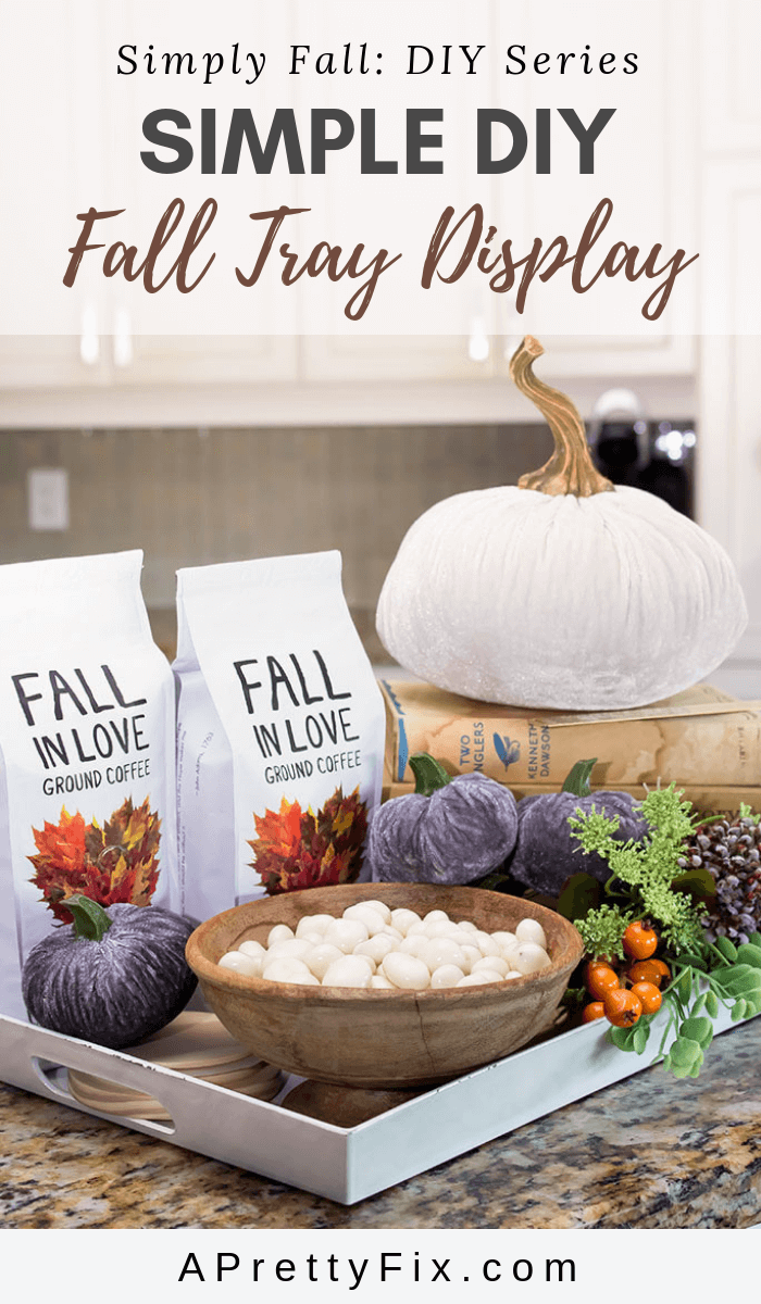 SIMPLY FALL DIY SERIES: A Simple Fall Tray Display - A Pretty Fix