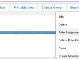 Auto Assignment Wizard