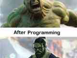 Before Programming Vs After Programming Aprogrammerlife