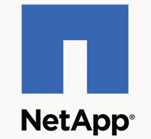 NetApp Hiring Freshers For Business Intelligence Analyst Role