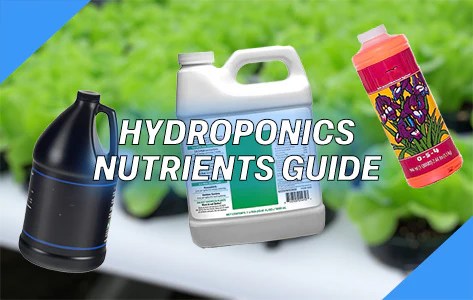 Hydroponics Nutrients For Beginners