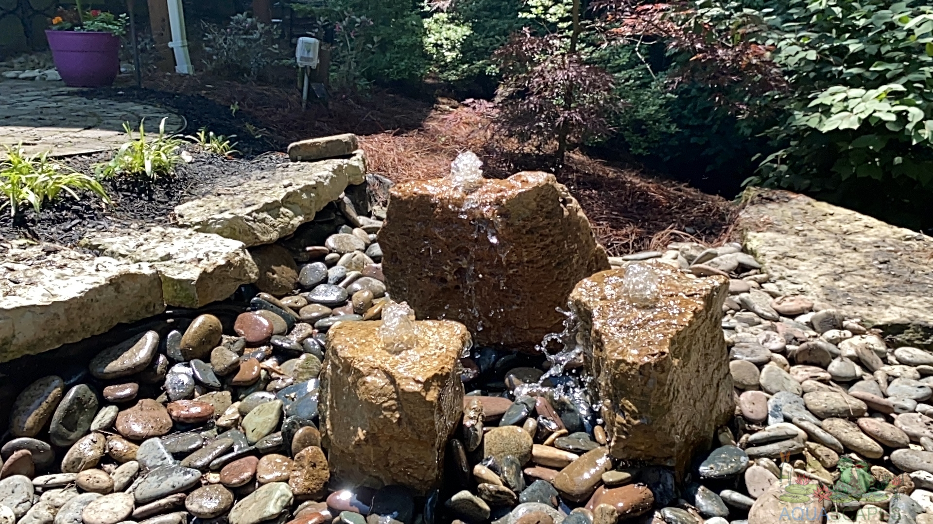 Backyard Ponds, Water Features, Water Gardens by Aquascapes