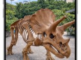 Ar Code On The Meta Quest 3 Enhancing Visualization Of 3d Models In