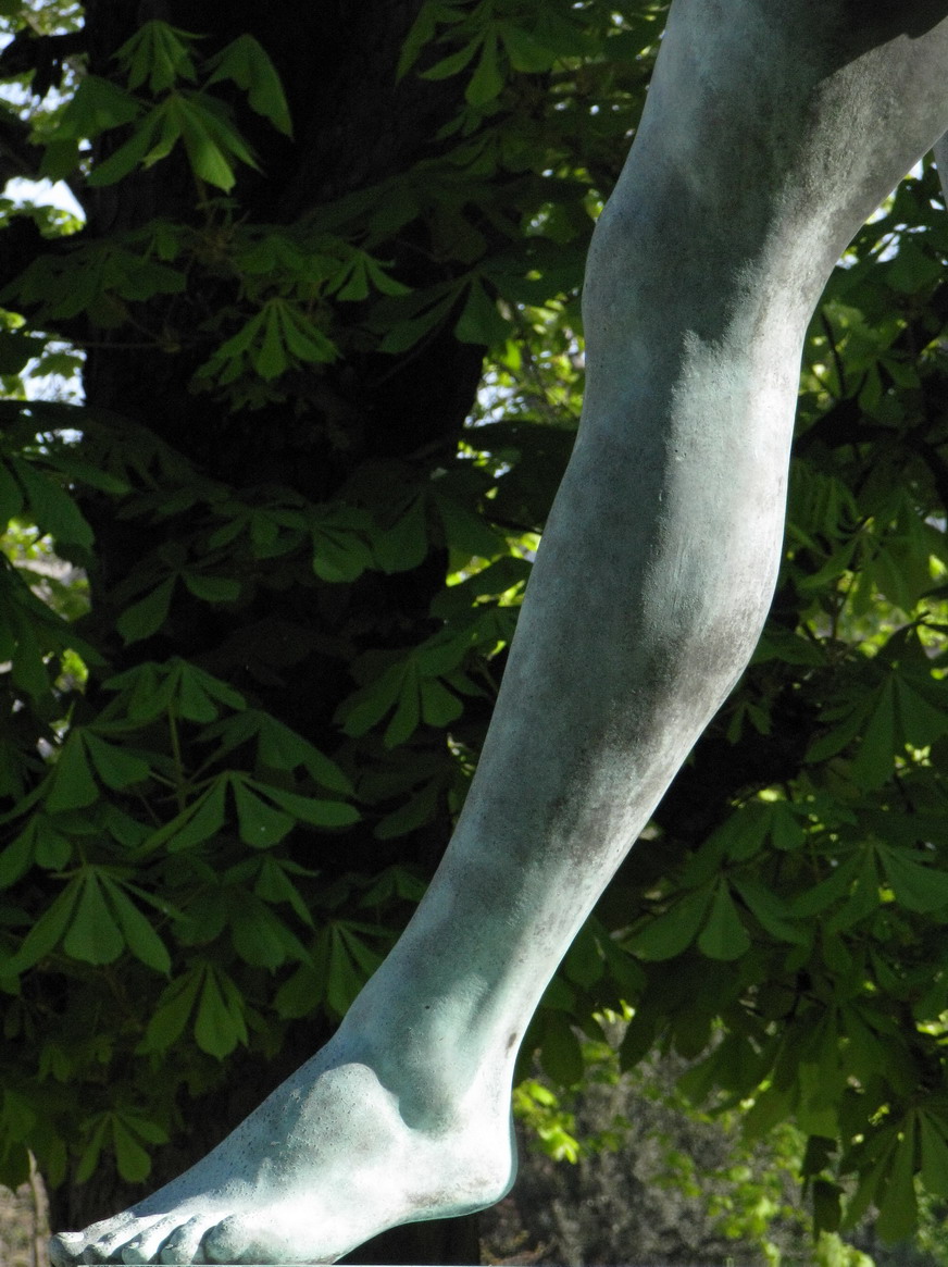 Une jambe immense – mais qui est arbon