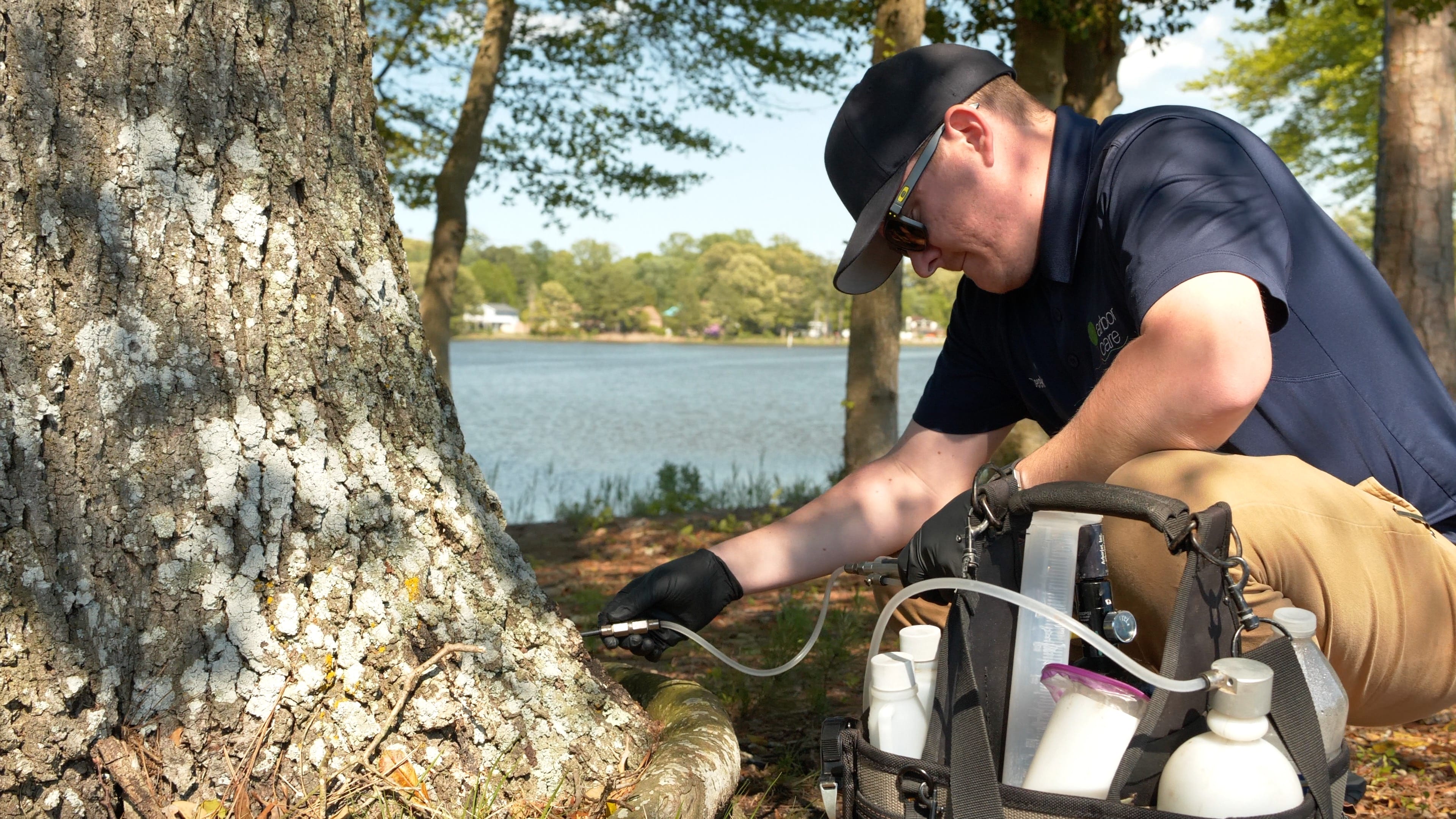 Tree Care - AC Plant & Turf