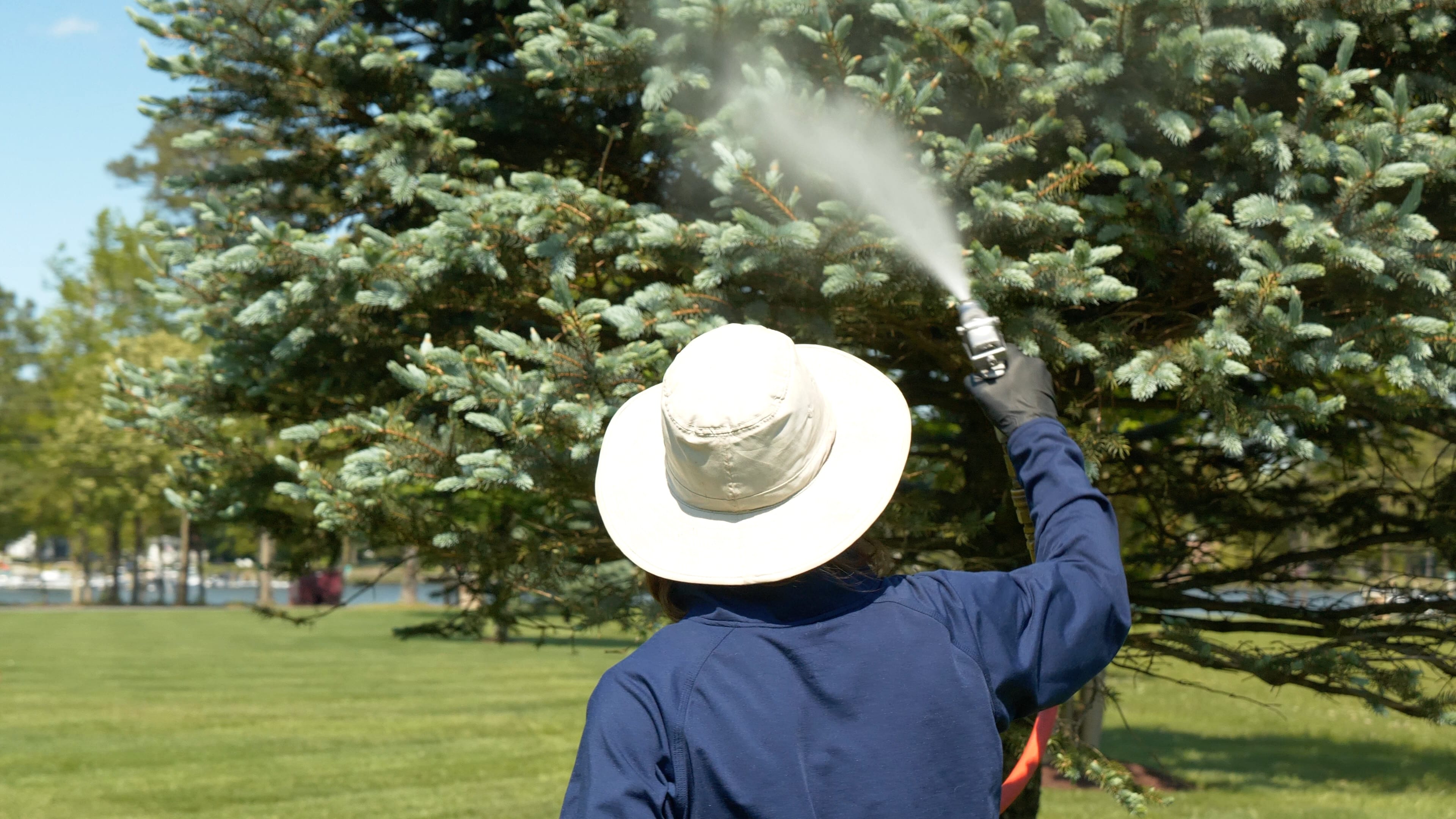 Tree Care - AC Plant & Turf