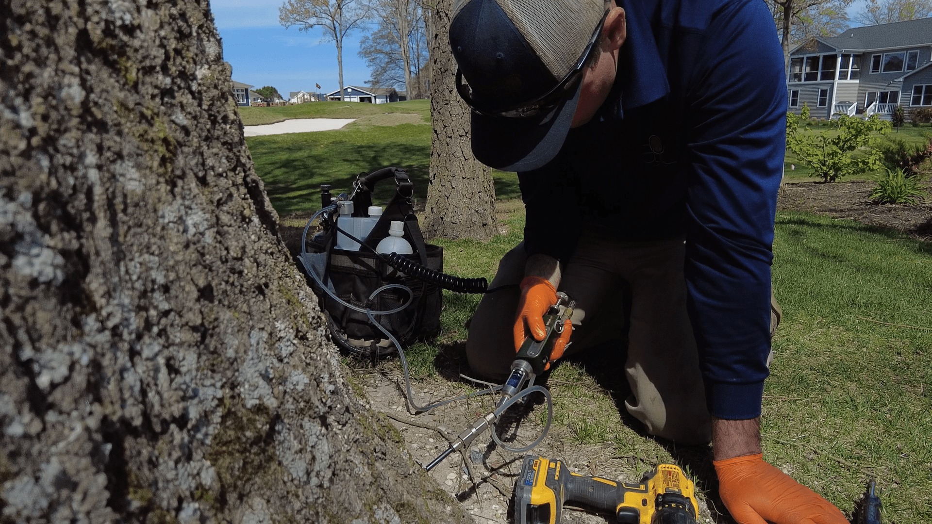 Tree Care - AC Plant & Turf