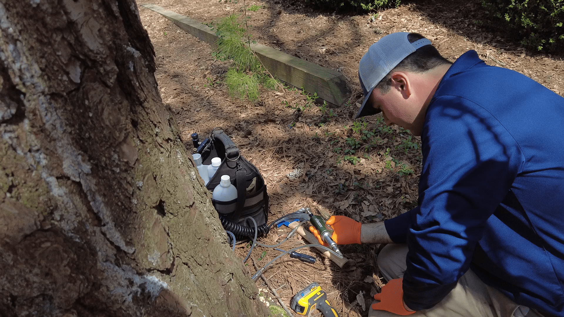 Tree Care - AC Plant & Turf