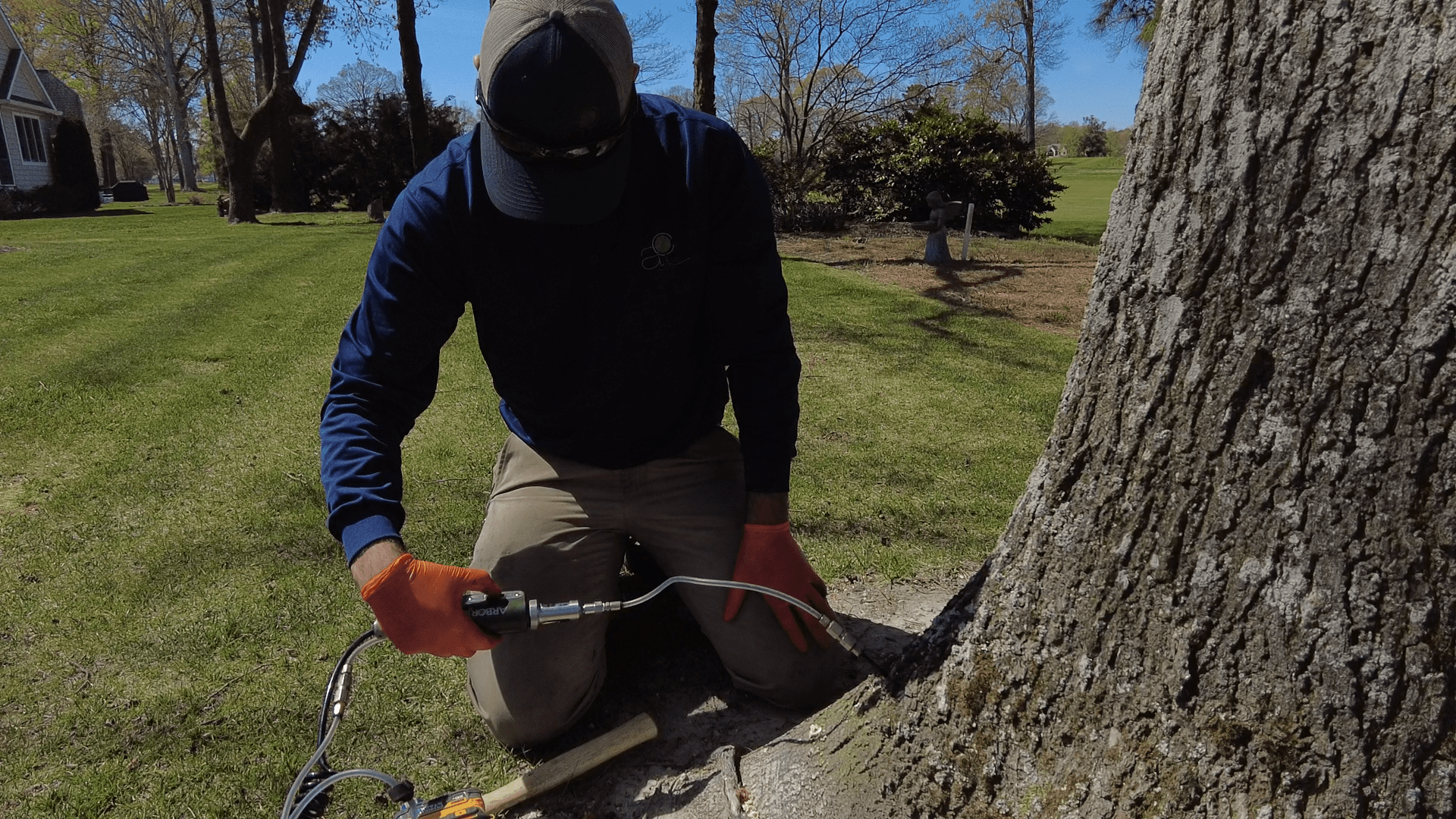 Tree Care - AC Plant & Turf