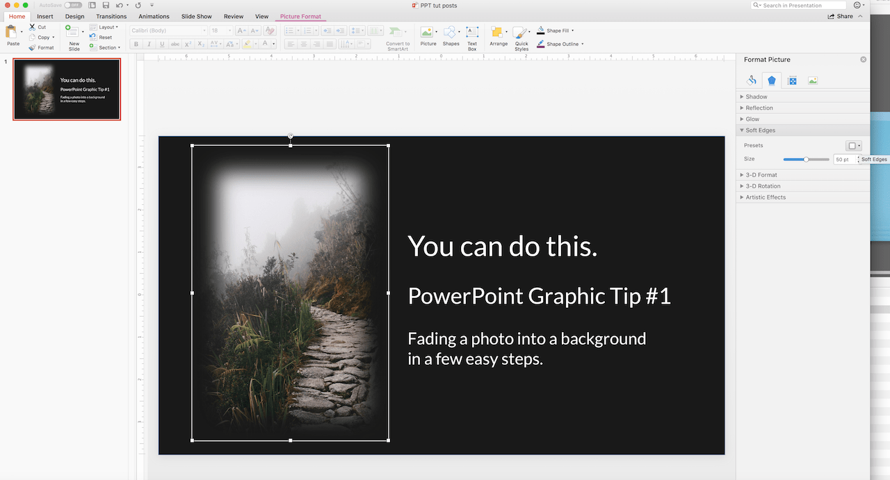 Graphic Design tutorial format picture effects presets in PowerPoint.