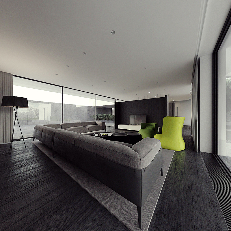 Cz House By Tamizo Architects Group Architizer