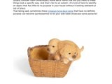 Mini Objects Pdf Submission Free Download Borrow And Streaming