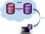 Forking The Repository Dev Documentation