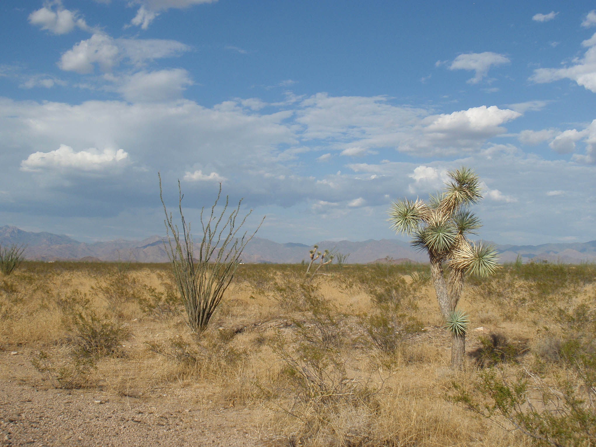 Community Partners – Arizona Queer Archives