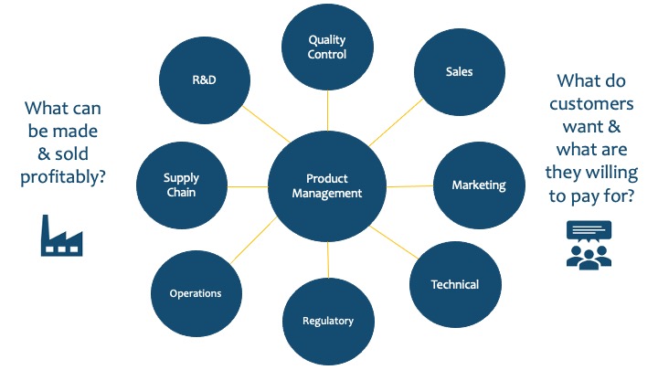 Using competency models to drive improvement in product management