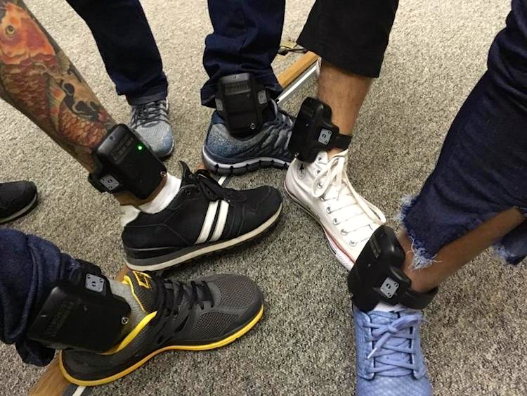 Him wear saurian monitor | Arnold Zwicky's Blog