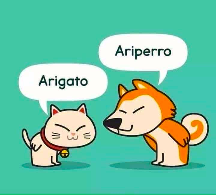 Japanese | Arnold Zwicky's Blog