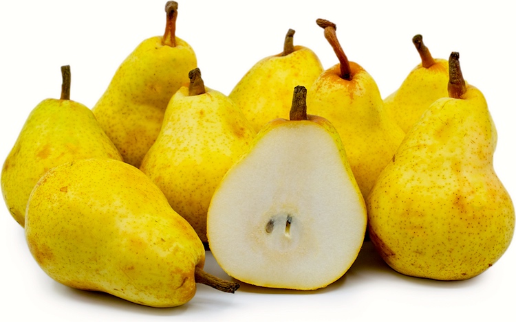 St. Martin des Poires | Arnold Zwicky's Blog