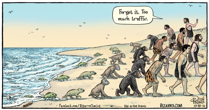 Evolution | Arnold Zwicky's Blog | Page 2