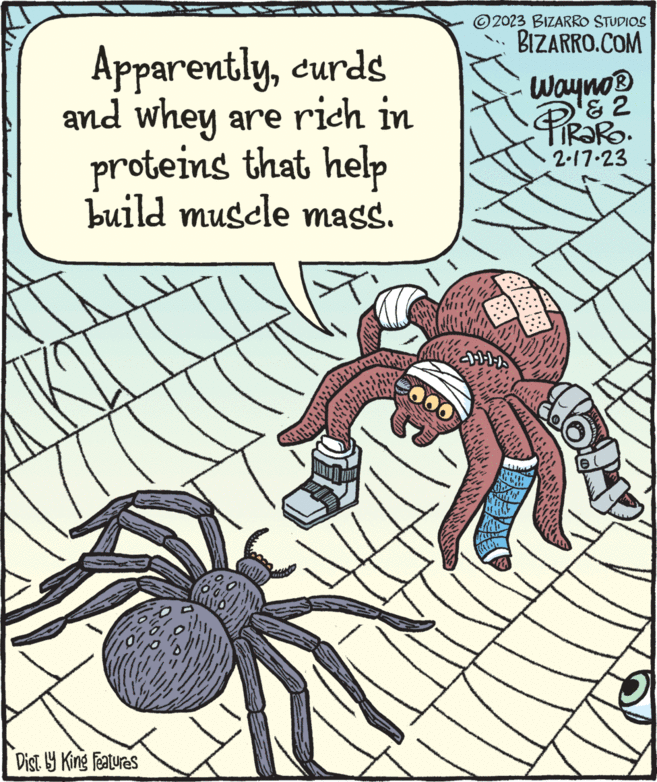 Today’s exercise in cartoon understanding | Arnold Zwicky's Blog