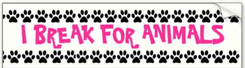 Lexeme confusion | Arnold Zwicky's Blog