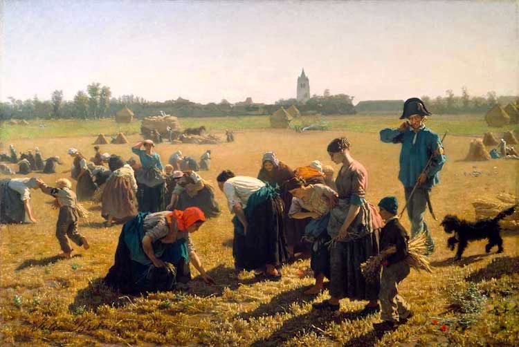Gleaning | Arnold Zwicky's Blog