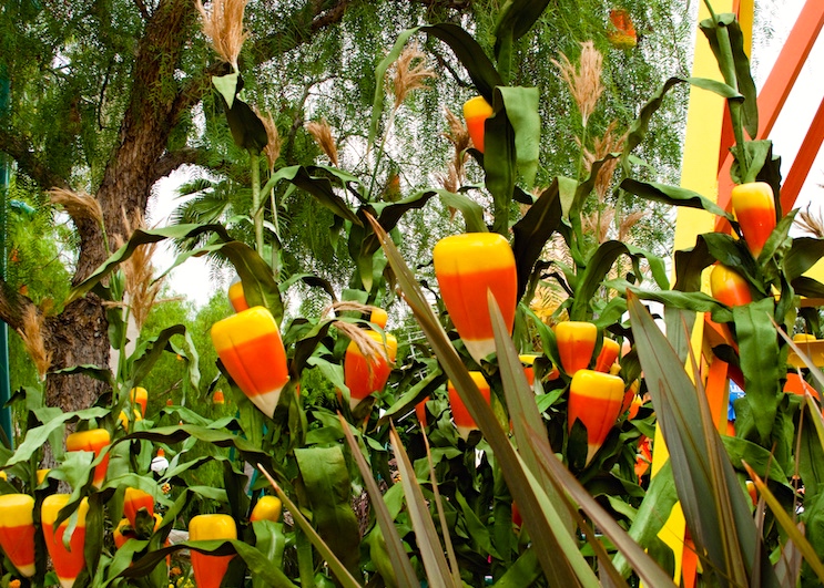 National Candy Corn Day | Arnold Zwicky's Blog