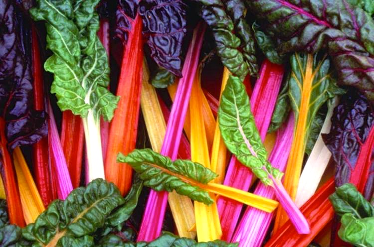 Chard semantics, chard art, and chard food | Arnold Zwicky's Blog