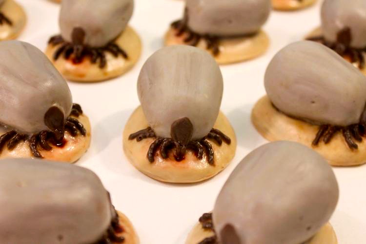 Annals of edibilia: Hissing Cockroach, Severed Genitals | Arnold Zwicky ...