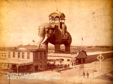 The 31-room elephant in the room | Arnold Zwicky's Blog