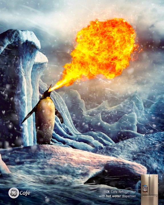 The penguinocalypse | Arnold Zwicky's Blog