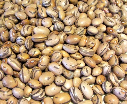 Grilled | Arnold Zwicky's Blog